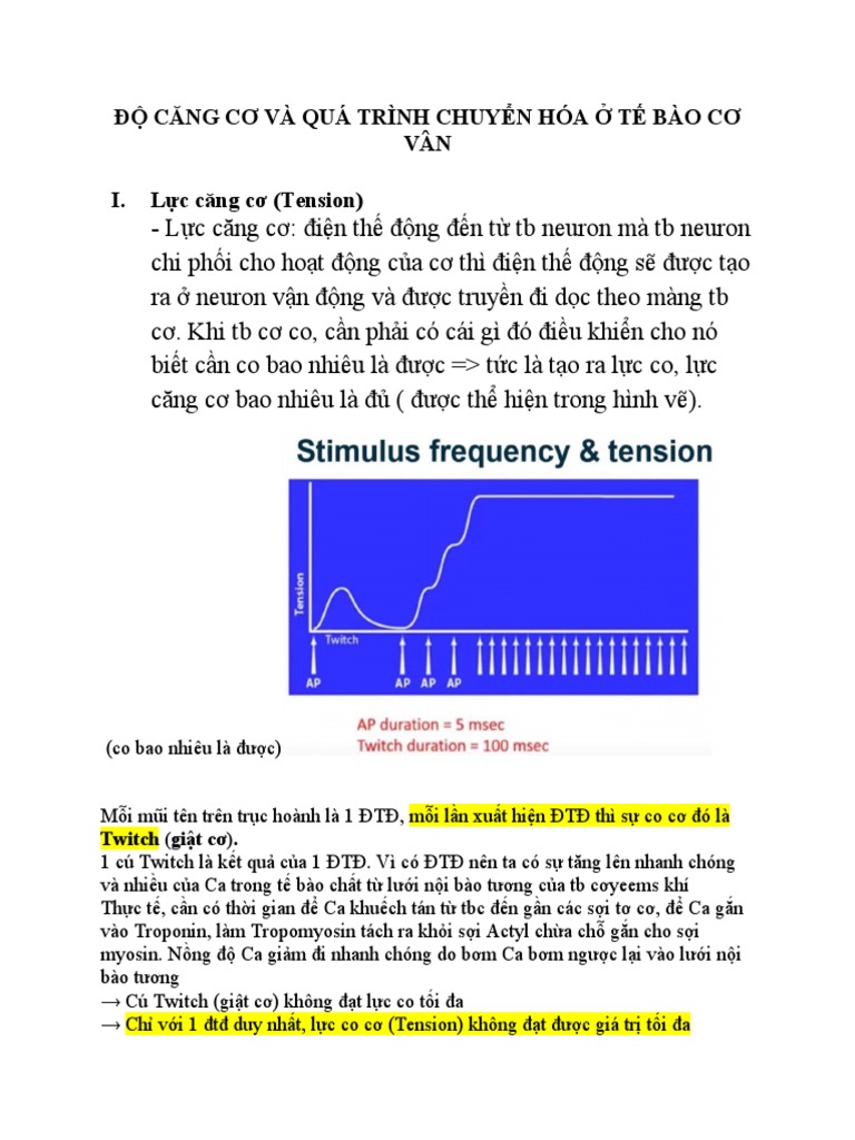 Sinh lý hệ cơ 2 | PDF