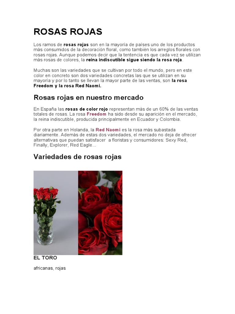 Rosas | PDF | Rosa | Flores