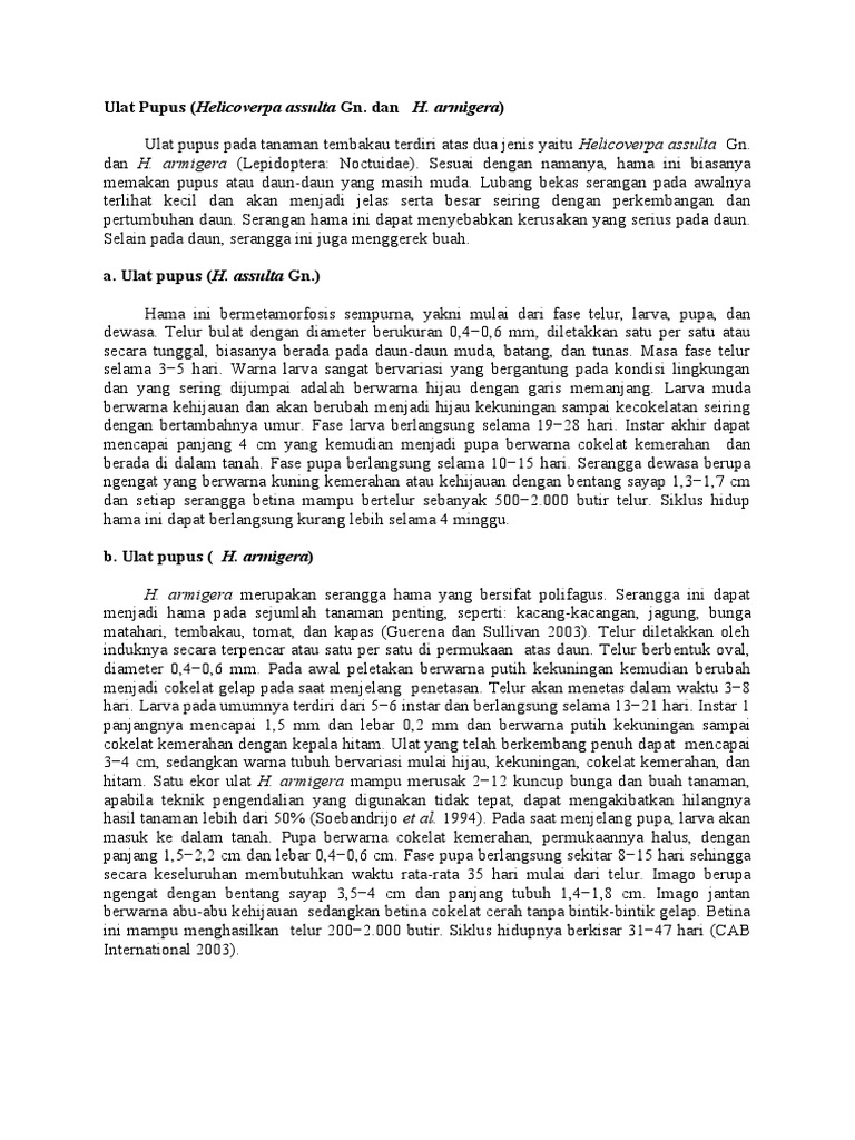 (OPT) Ulat Pupus | PDF