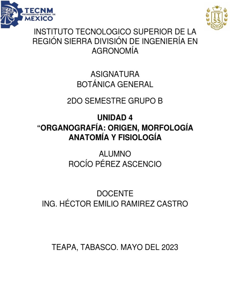 Unidad 4 Botanica General | PDF | Tallo de la planta | Hoja Unidad 4 Botanica General | PDF | Tallo de la planta | Hoja