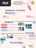 Maniobra de Ritgen | PDF | Parto | Reproducción