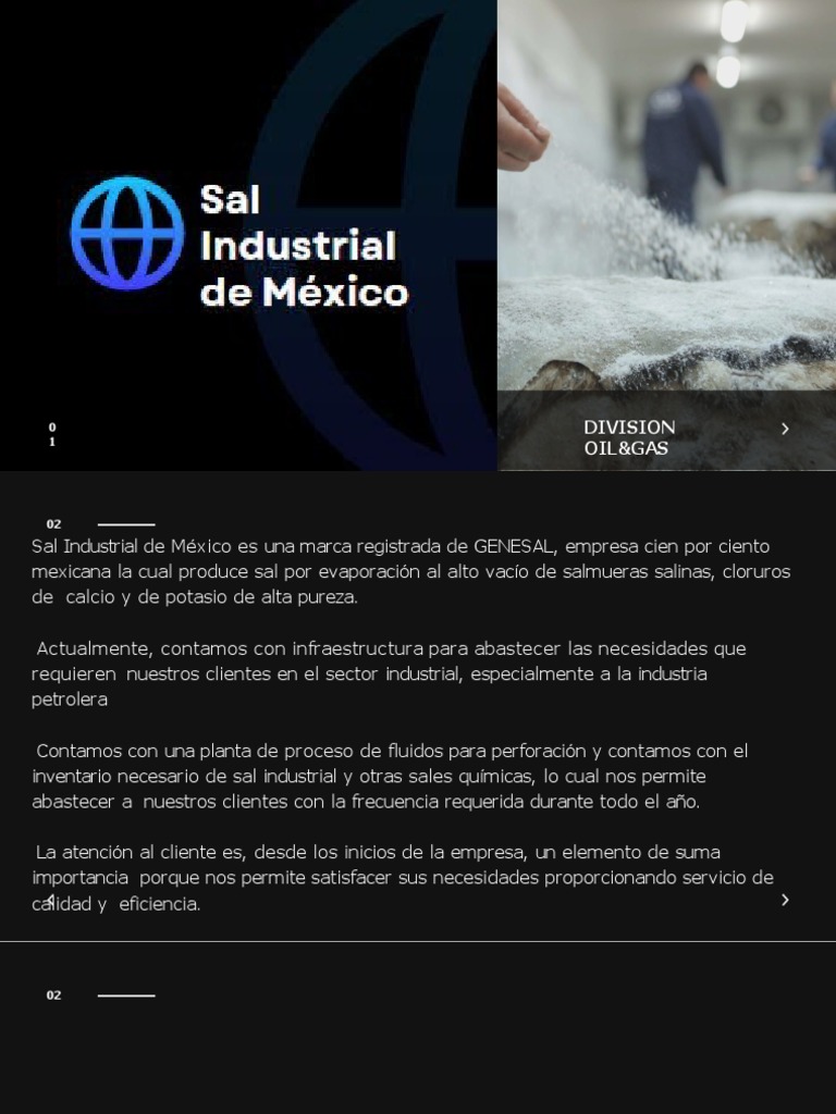 Catalogo Sal Industrial de México Oil&Gas 2023 N | PDF | sal ...