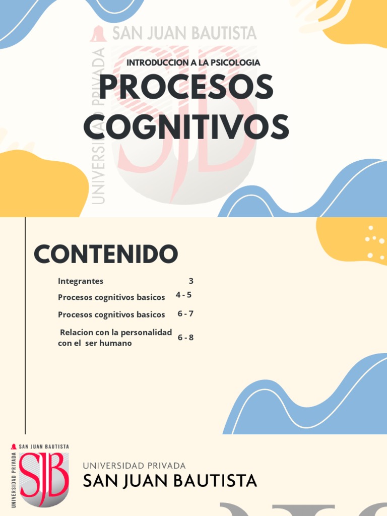 Procesos Cognitivos | PDF