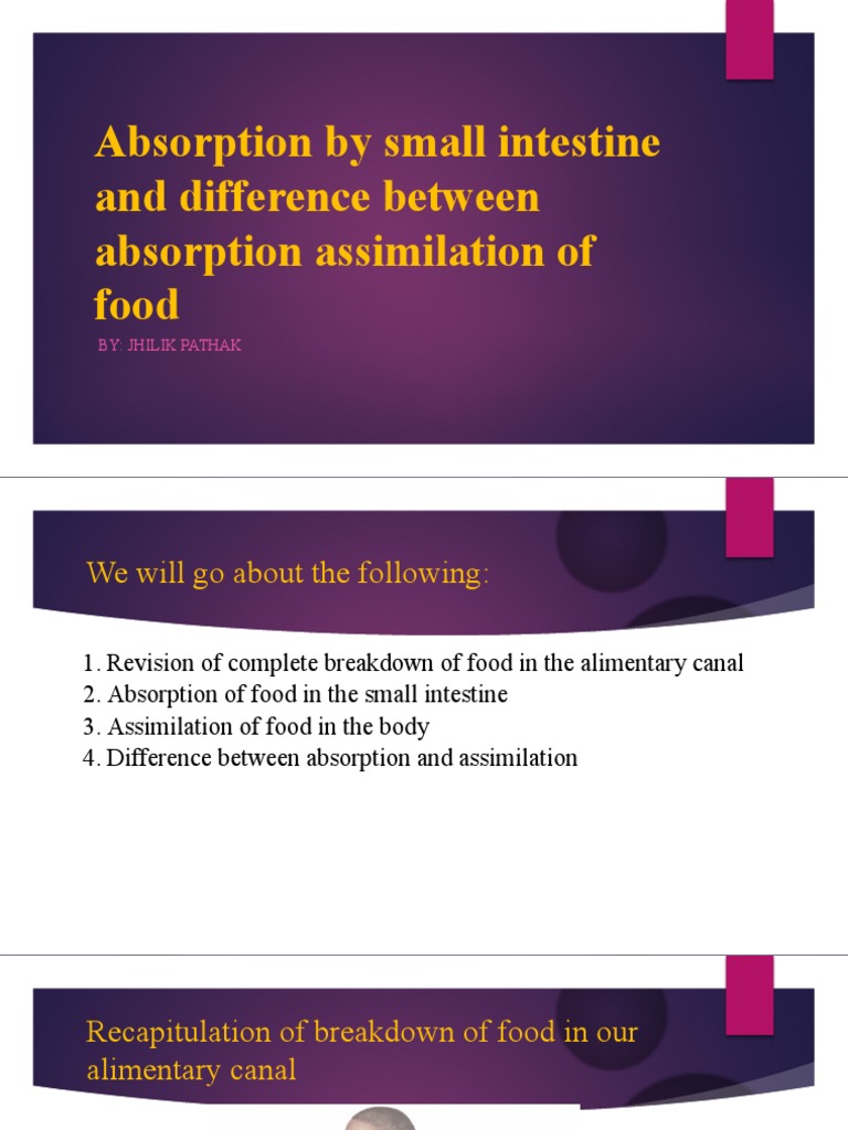 Absorption by Small Intestine and Difference Between Absorption | PDF | Wellness
