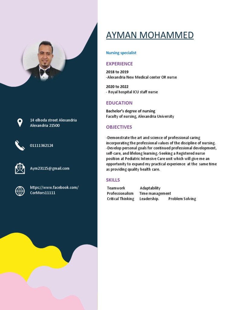 CV Ayman Mohammed | PDF