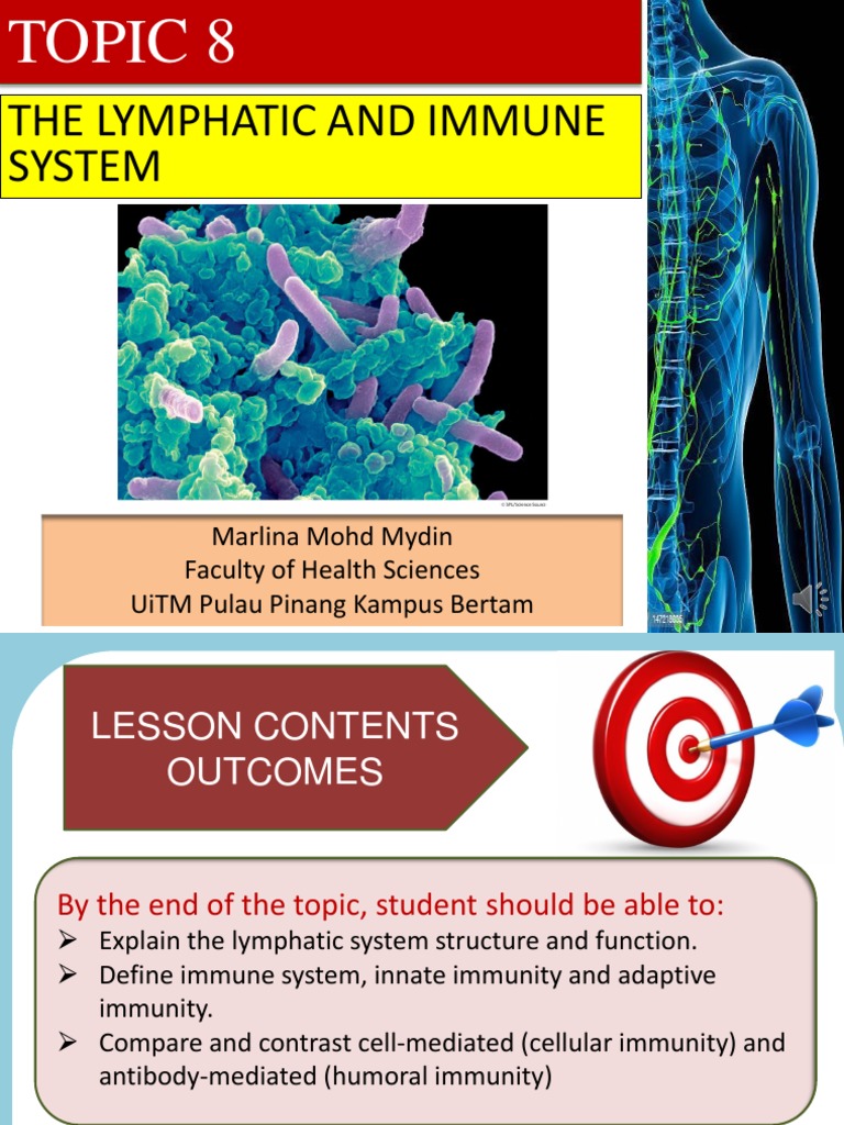 CHAPTER 8 Lymphatic System | PDF | Lymphatic System | Lymph CHAPTER 8 Lymphatic System | PDF | Lymphatic System | Lymph