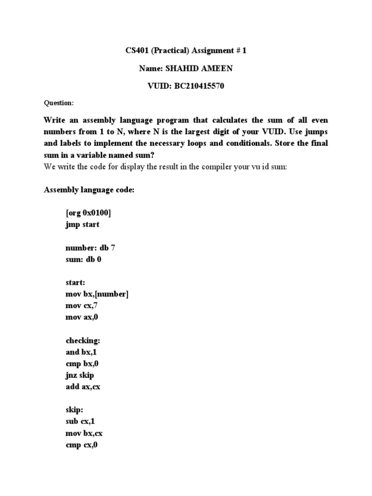 CS401 Practical Assignment | PDF