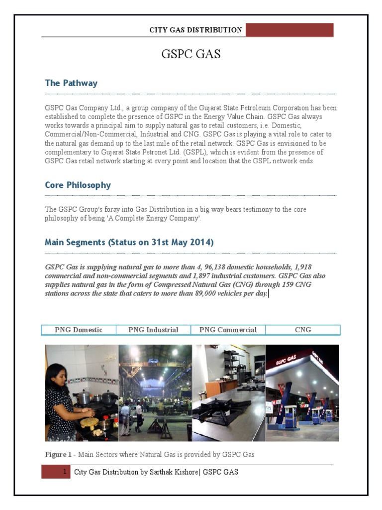 CGD Main Report | PDF | Anode | Natural Gas