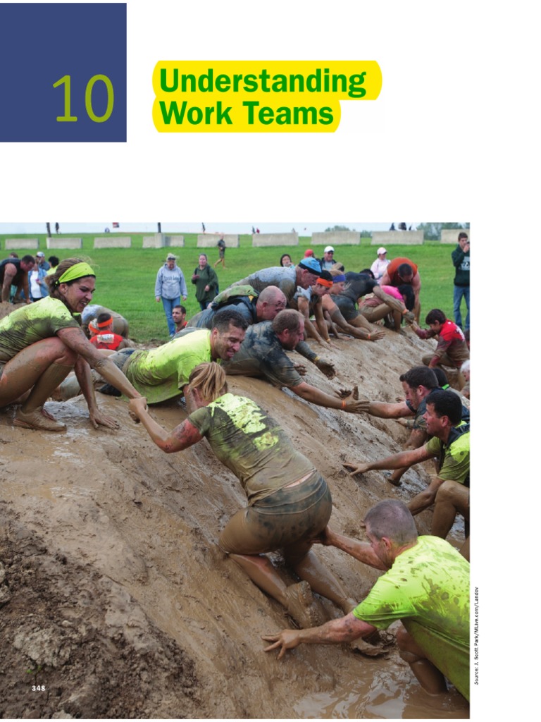 Chap-10 (Work Teams) Groups and Teams | PDF
