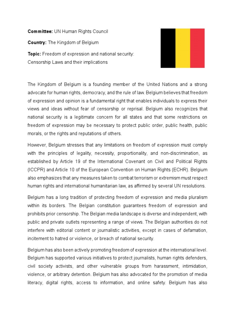 Belgian Position Paper | PDF | Freedom Of Speech | Human Rights