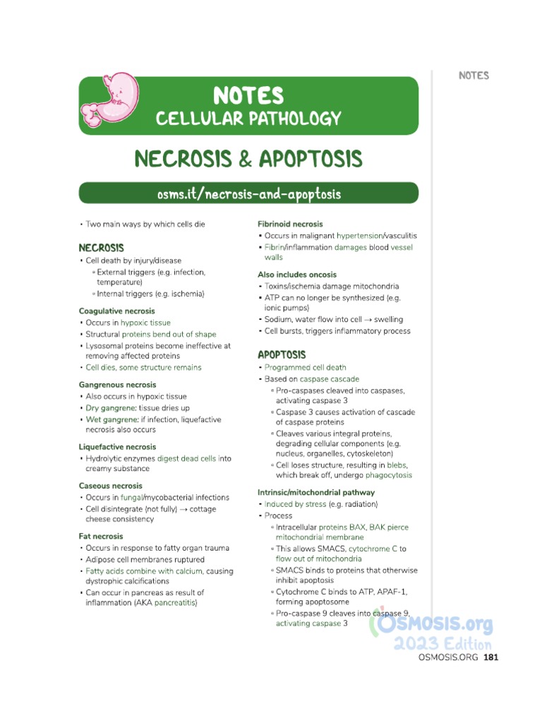 Cellular Pathology Notes - Diagrams & Illustrations - Osmosis | PDF