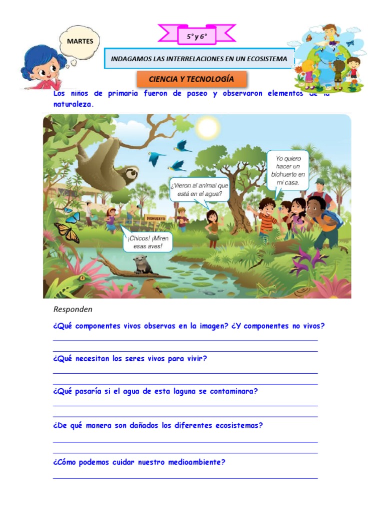 Sesión Interrelaciones de Un Ecosistema | PDF