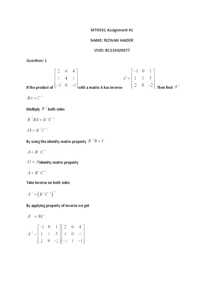 MTH501 Assignment #1 | PDF