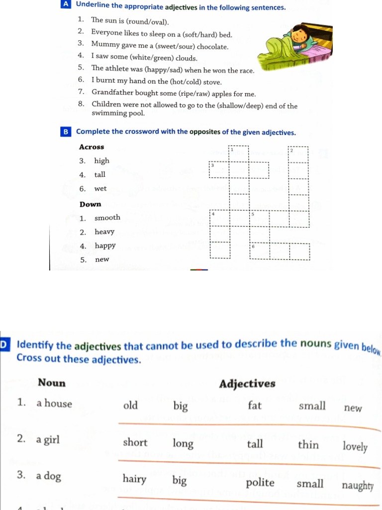 Class 3 Adjective Worksheet | PDF