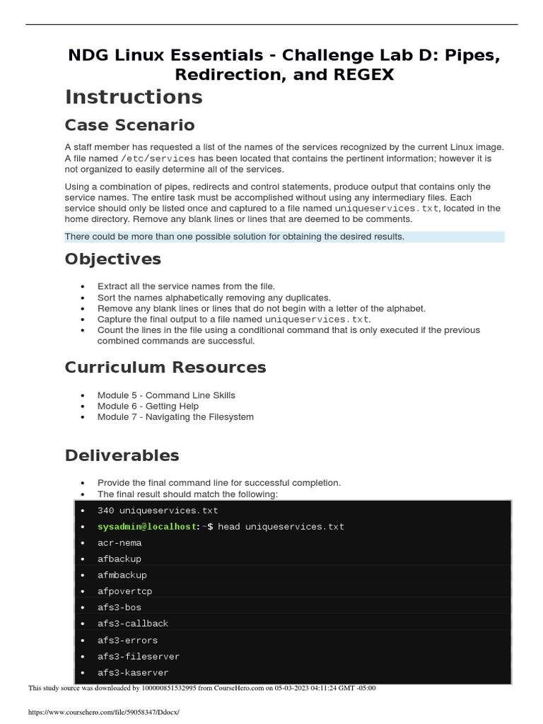 Instructions: Case Scenario | PDF | Filename | Computer File
