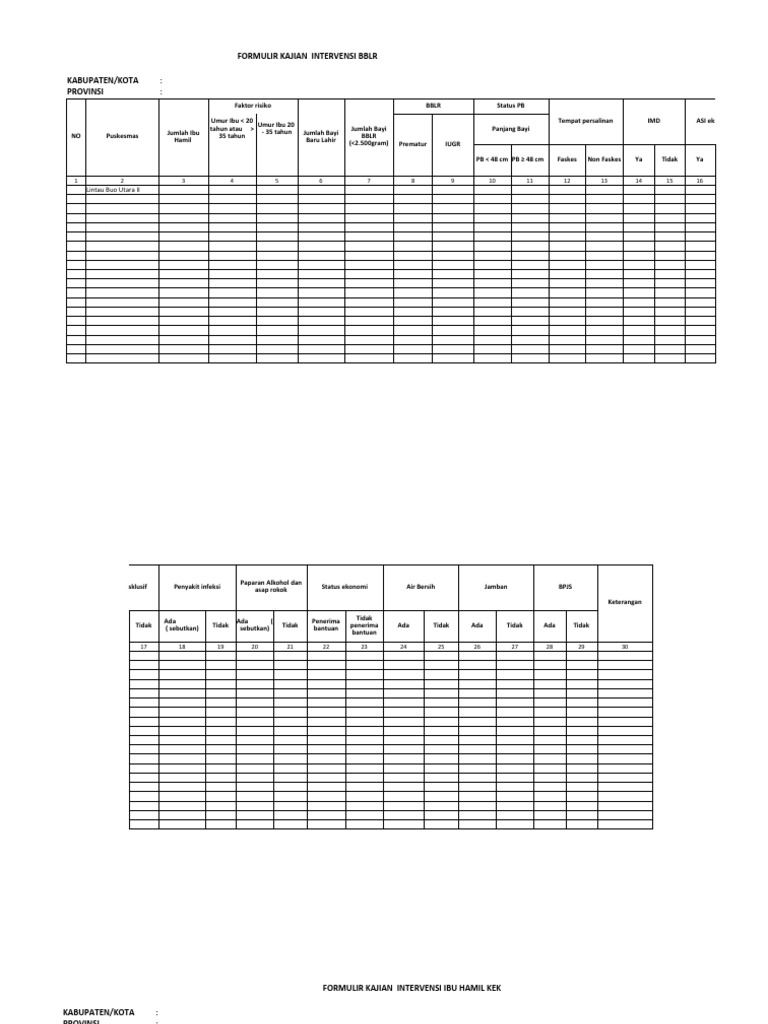 Oke Form Kajian Ibu Hamil Kek Dan BBLR LBU 2 | PDF