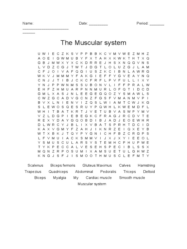The Muscular System 8aea1 61648e10 | PDF | Musculoskeletal System ...