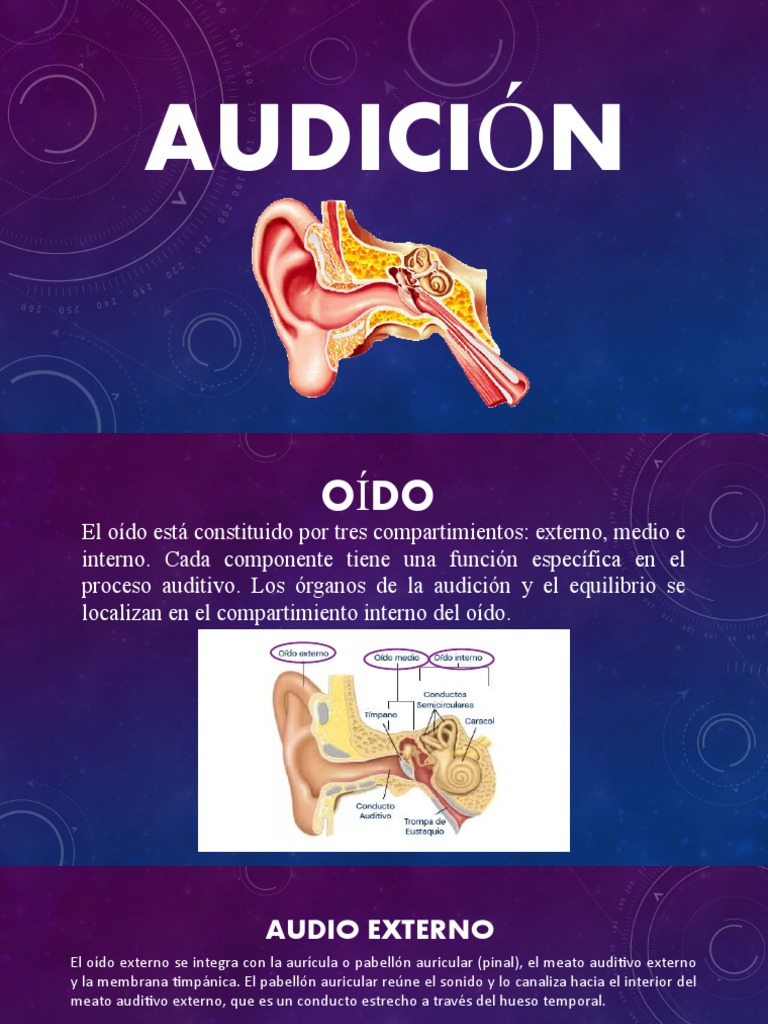 Audición Presentacion | PDF | Oído | Escuchando