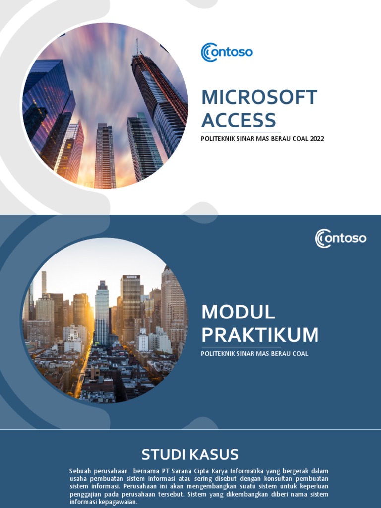 Microsoft Access | PDF