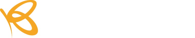 Flutterwave Logo White | PDF