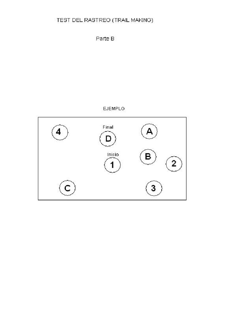 Trail Making B | PDF