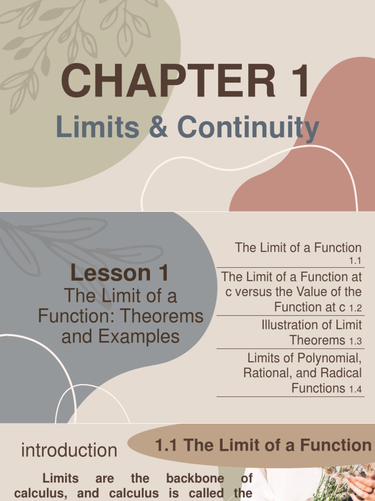 Basic Calculus Chapter 1 Limits | PDF | Function (Mathematics ...