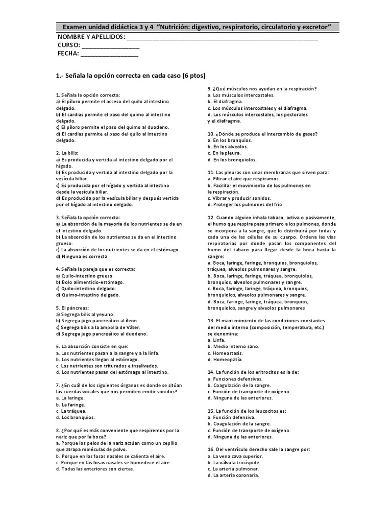 Examen UD 3 y 4 Digestivo, Respiratorio, y Excretor (Adaptado) PDF | PDF | Vena | Pulmón