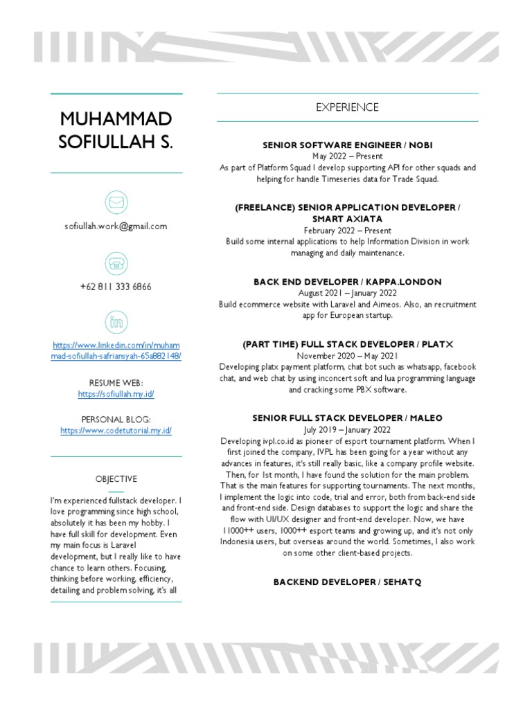 Muhammad Sofiullah S-CV | PDF | Web Application | Application Software