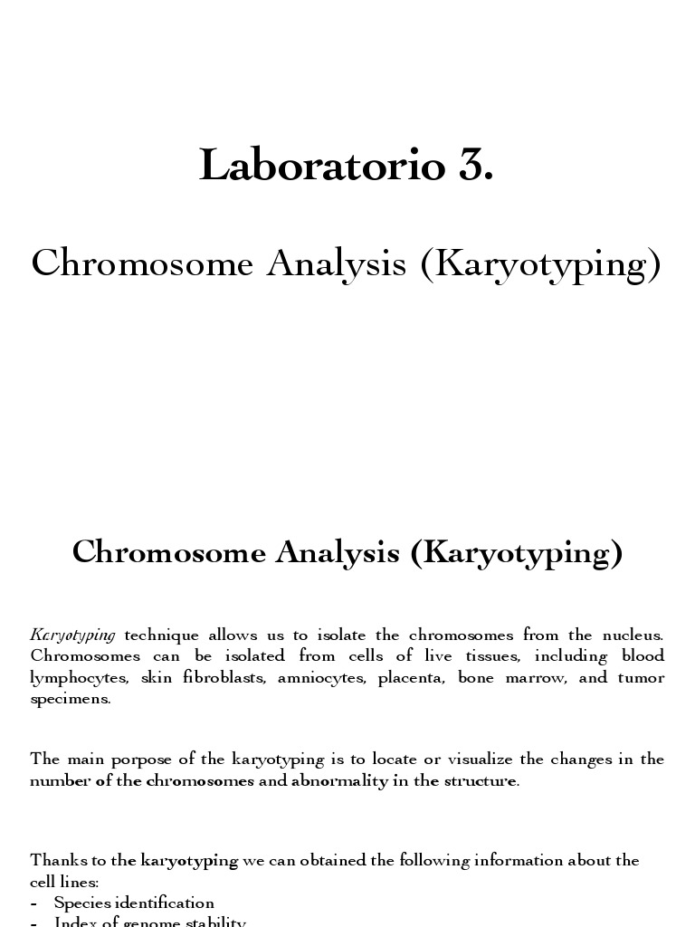 Lab 3 Kariotyping | PDF | Karyotype | Chromosome