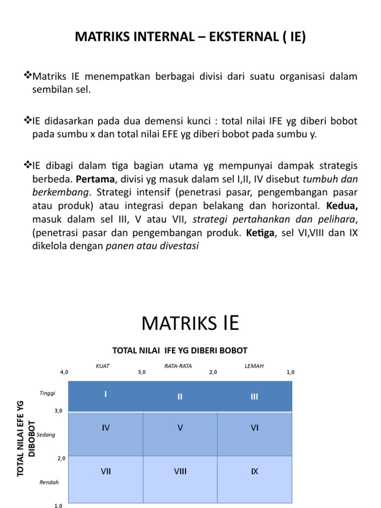 Matriks IE: Analisis Strategi Divisi | PDF