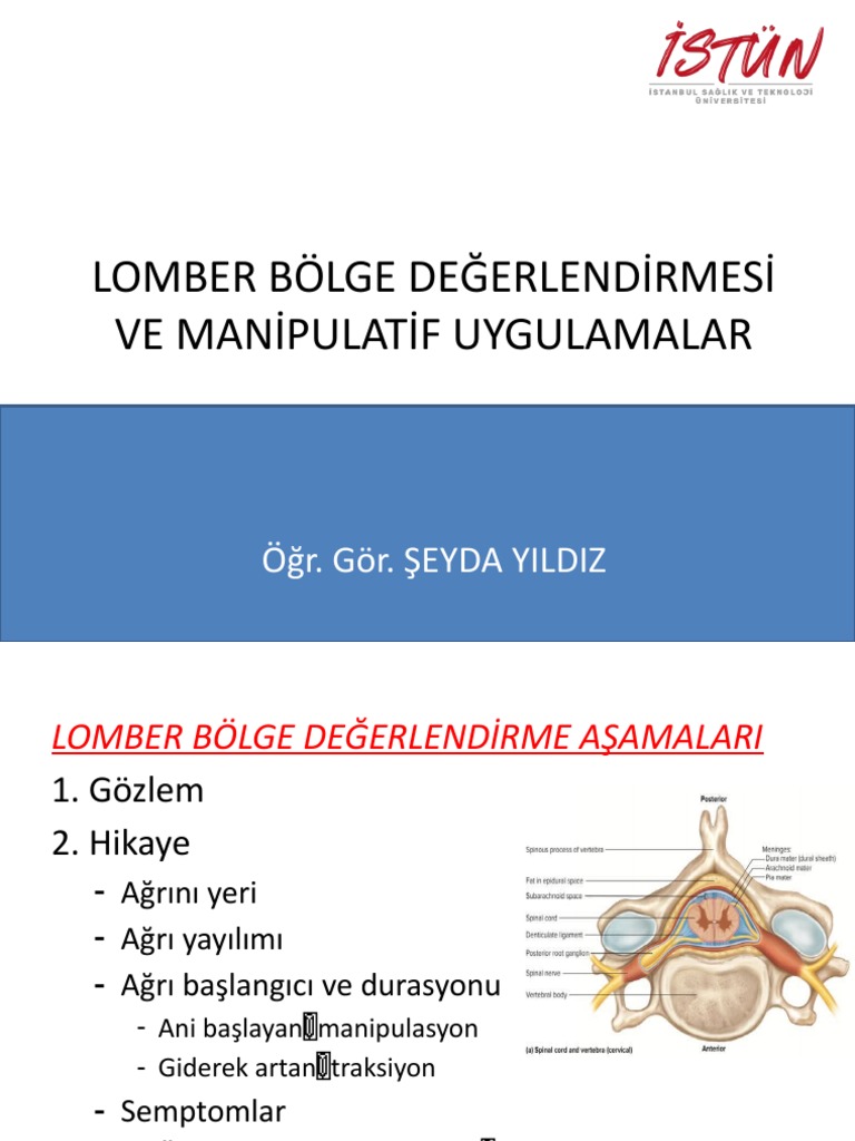 Lomber Bölge | PDF