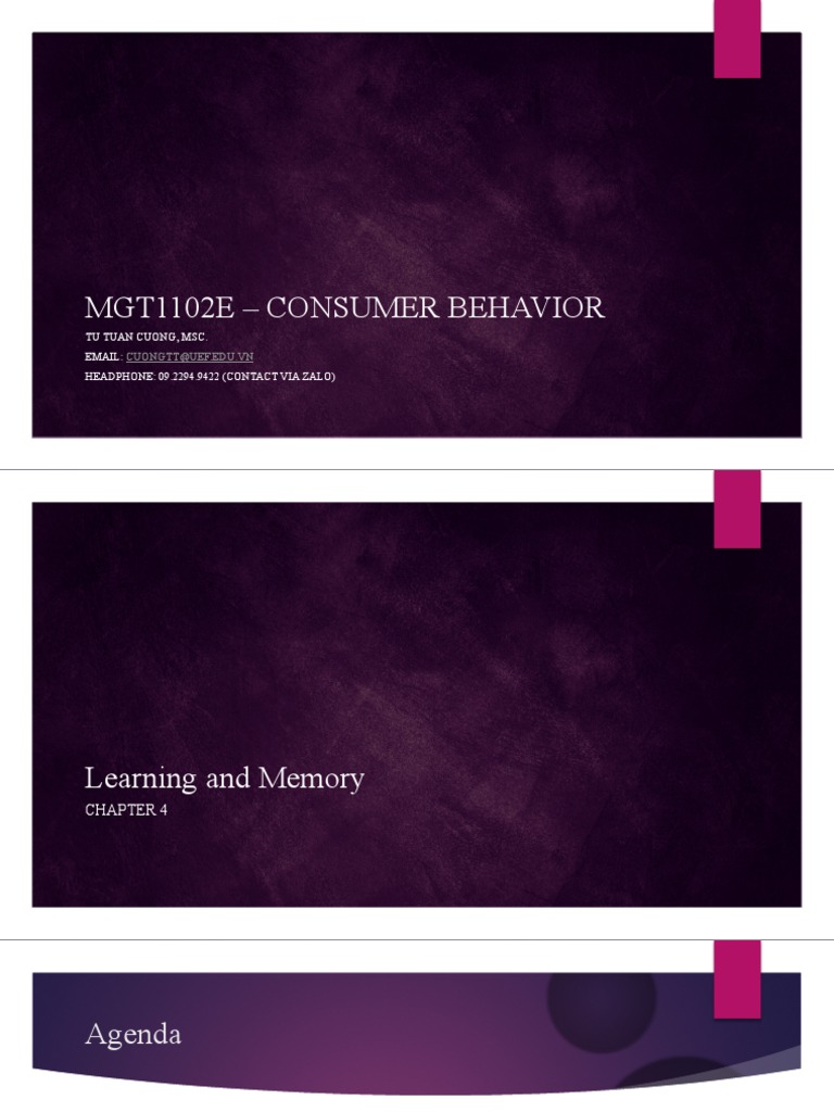 MGT1102E - Consumer Behavior - Chapter 4 | PDF | Reinforcement | Memory