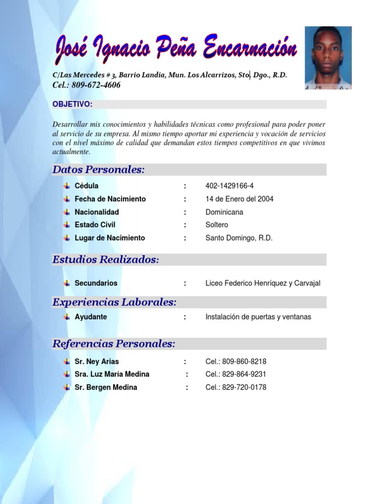 Curriculum José Ignacio Peña | PDF