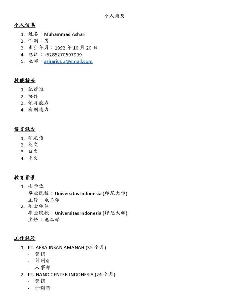 CV Mandarin | PDF