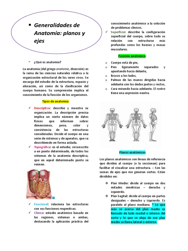 Generalidades de Anatomía | PDF | Anatomía | Eje