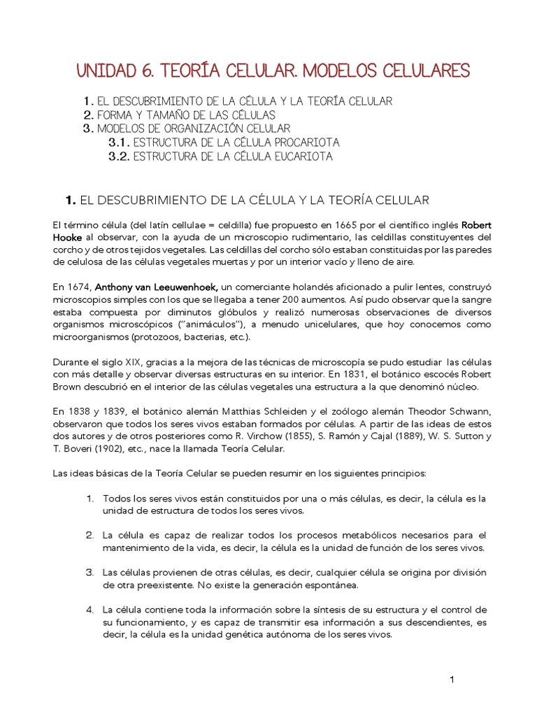 Tema 6. Teoría Celular. Modelos Celulares | PDF | Biología Celular ...
