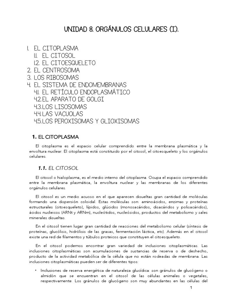 Tema 8. Orgánulos Celulares | PDF | Retículo endoplásmico | Citoplasma