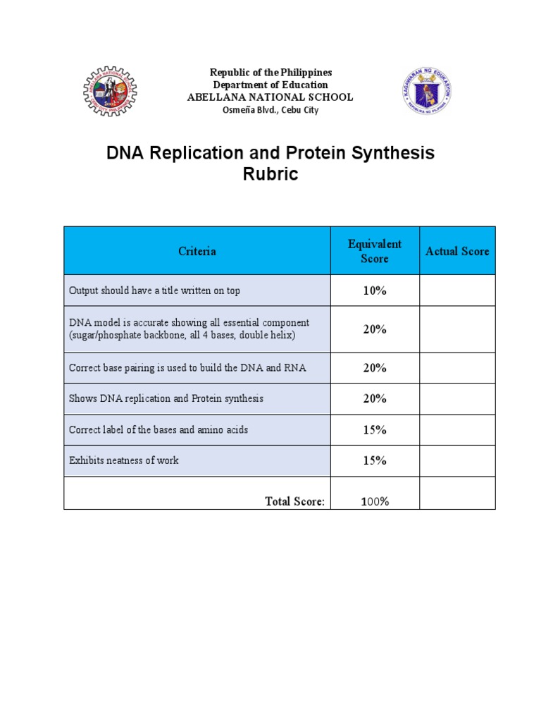 DNA Replication and Protein Synthesis Rubric | PDF