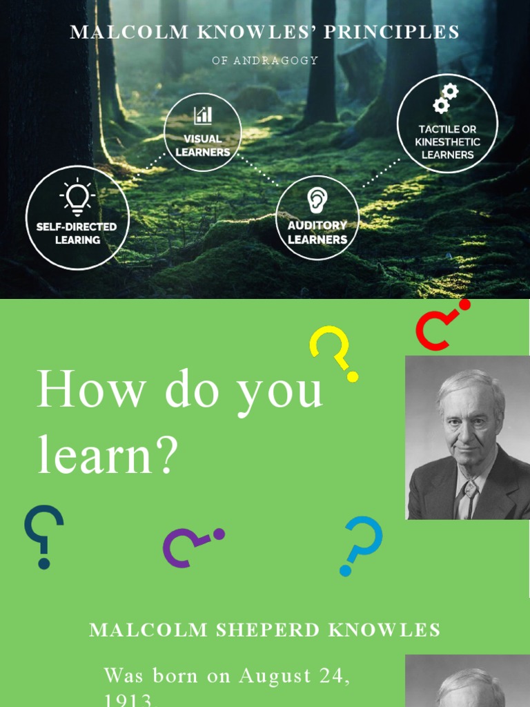 Adult Learning Principles | PDF | Self-Improvement | Science & Mathematics