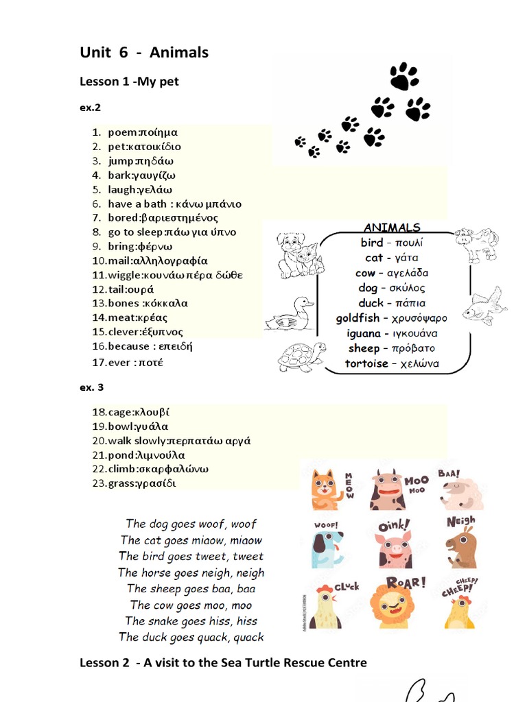 Unit 6 Vocabulary D Class | PDF