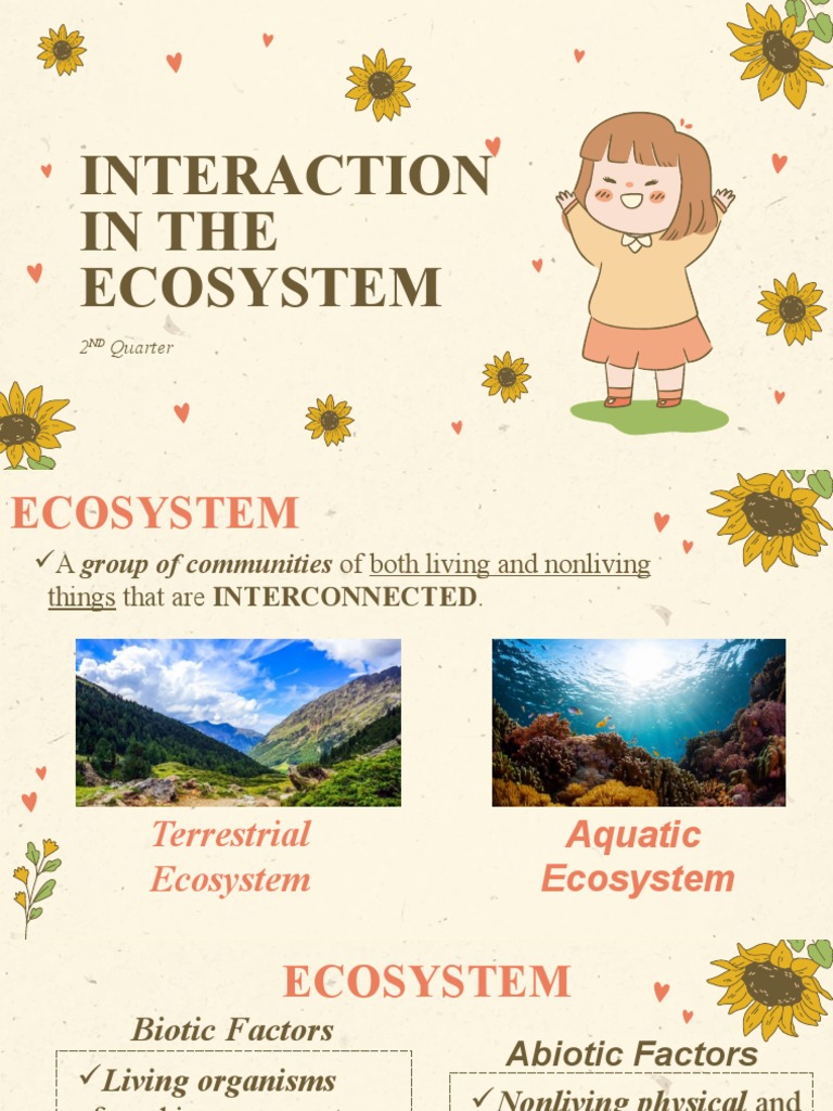 Ecosystem Interactions and Biomes Overview | PDF | Rainforest | Canopy ...