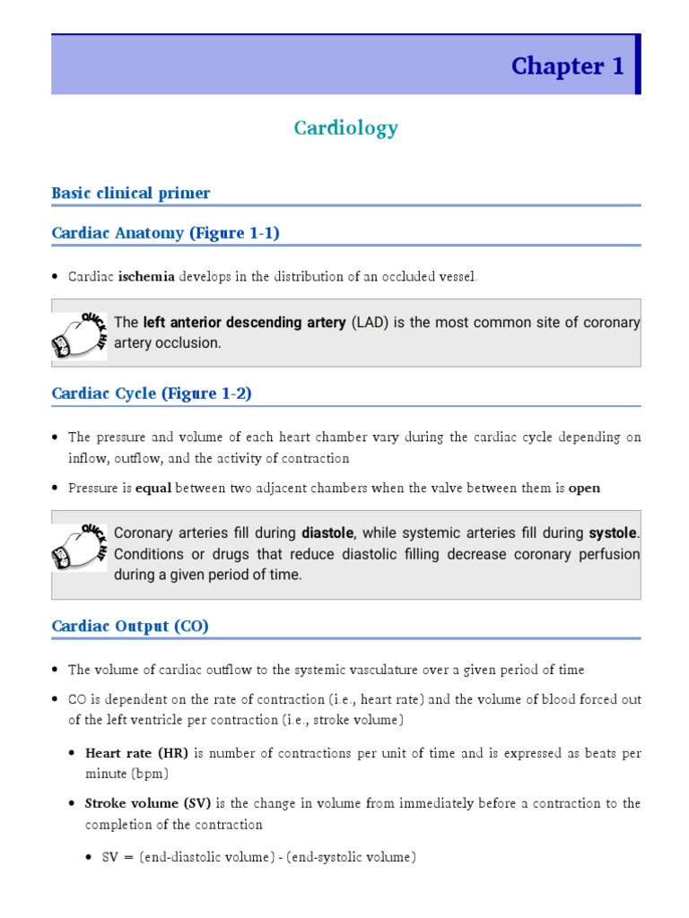 Cardiology Basics: Anatomy & Function | PDF | Heart | Coronary Artery ...