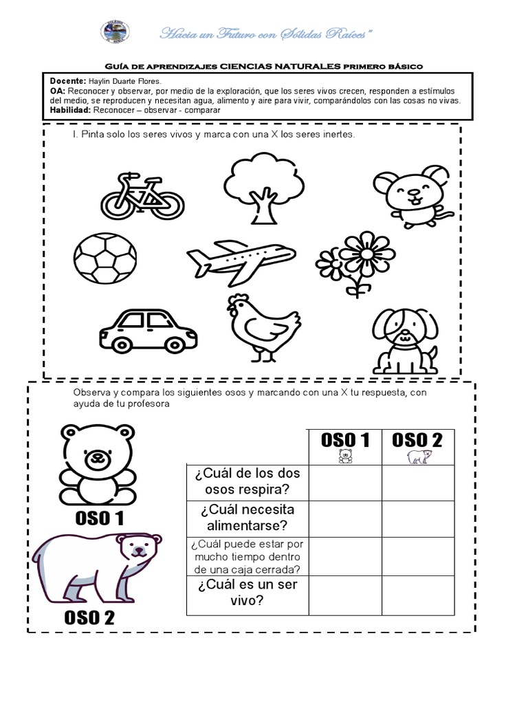 Guía de aprendizajes ciencias naturales primero basico | PDF | Osos ...