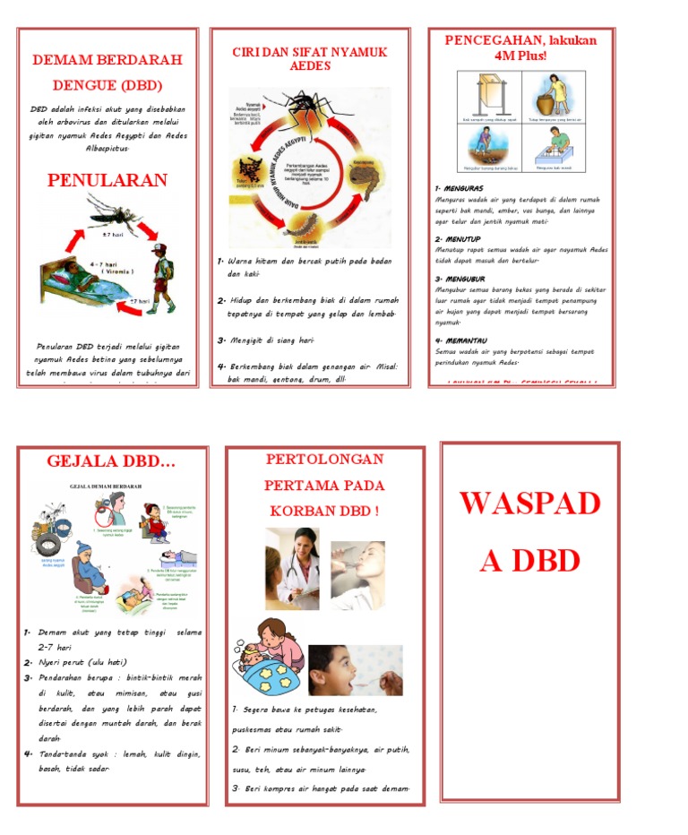 Leaflet DBD | PDF