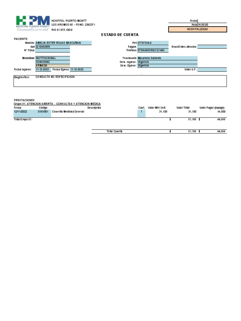 Amelia Ester Rojas Bascuñan | PDF | Servicios públicos | Programas sociales