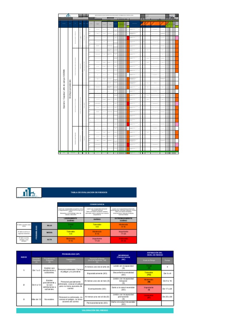 MATRIZ IPERC - ENCHAPE PORCELANATO PISOS Y PAREDES | PDF | La seguridad