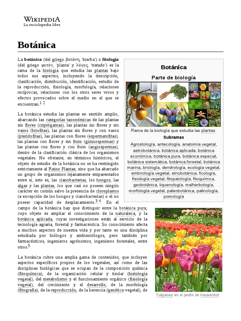 Botánica | PDF | Botánica | Plantas