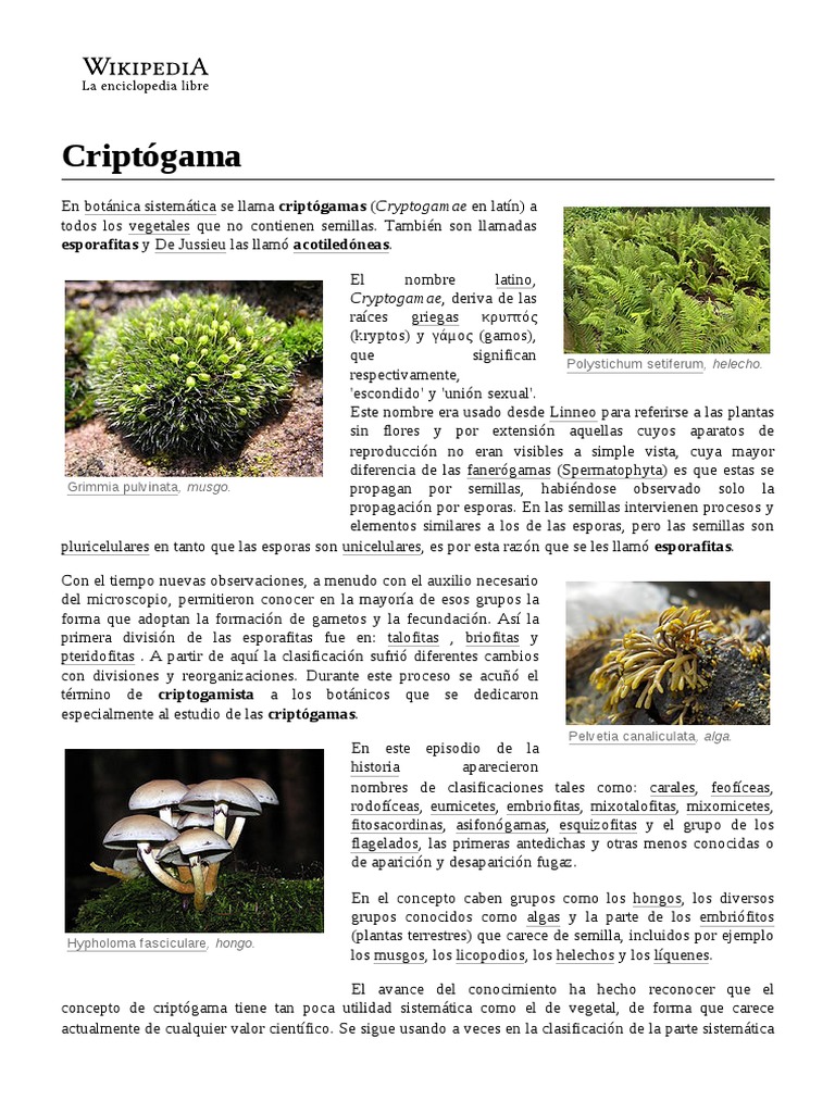 Criptógama | PDF | Botánica | Plantas