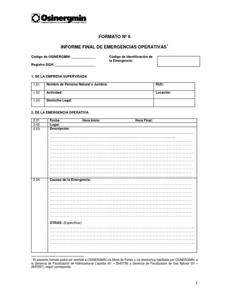 Formato 6. Info - Final - Emer | PDF | Informática