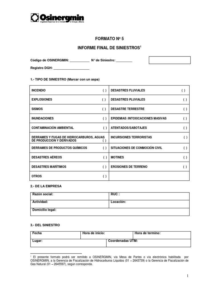 Formato 5. Info - Final - Siniestros | PDF